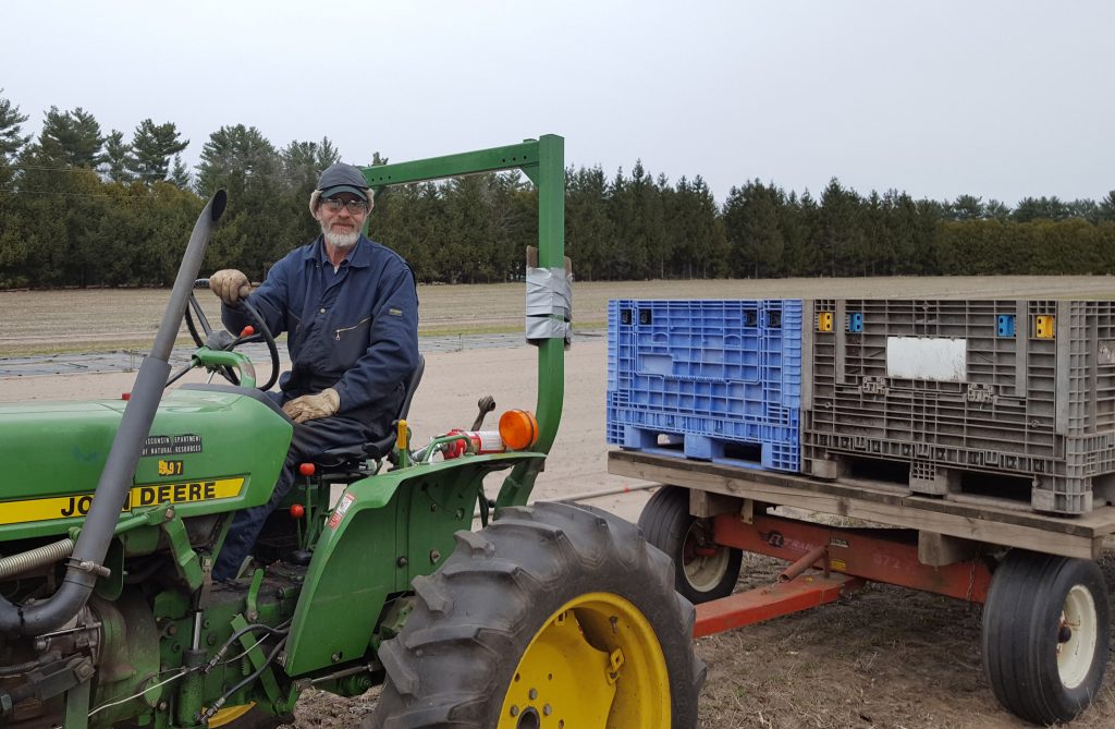 DNR shipping trees; last chance to purchase seedlings