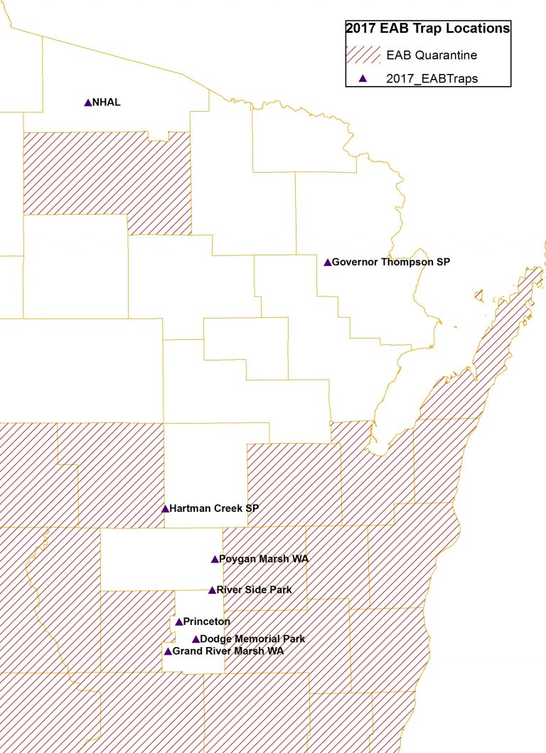 Emerald ash borer trapping in 2017