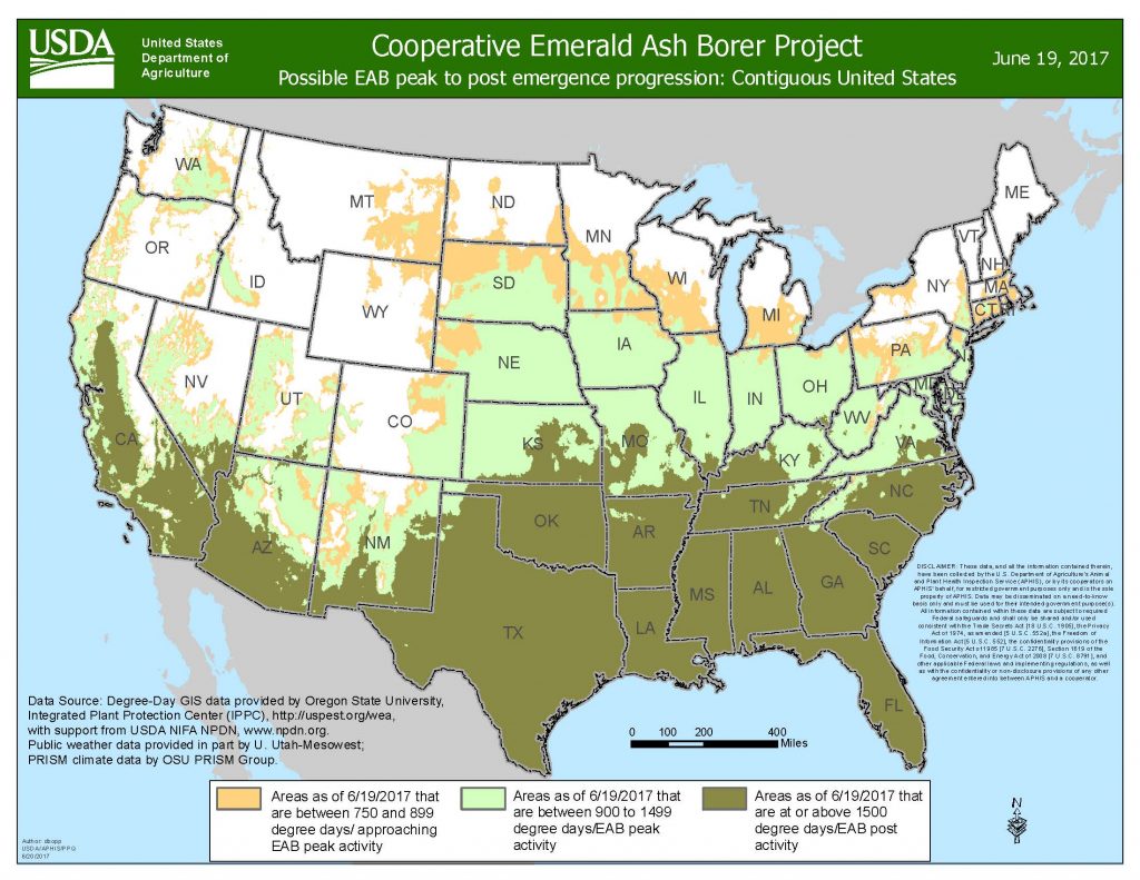 Emerald ash borer new finds in Wisconsin