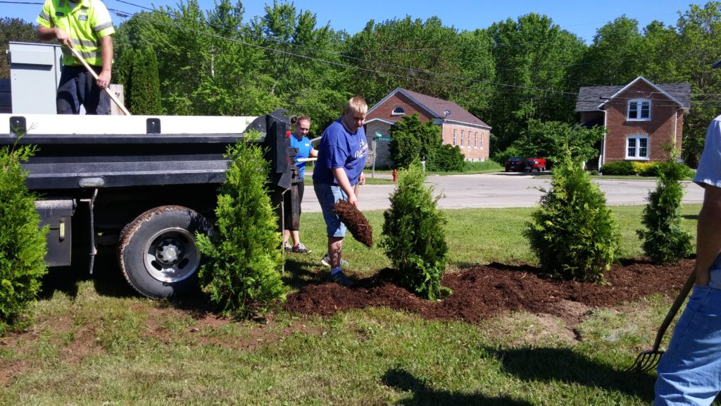 Tree planting in Gillett