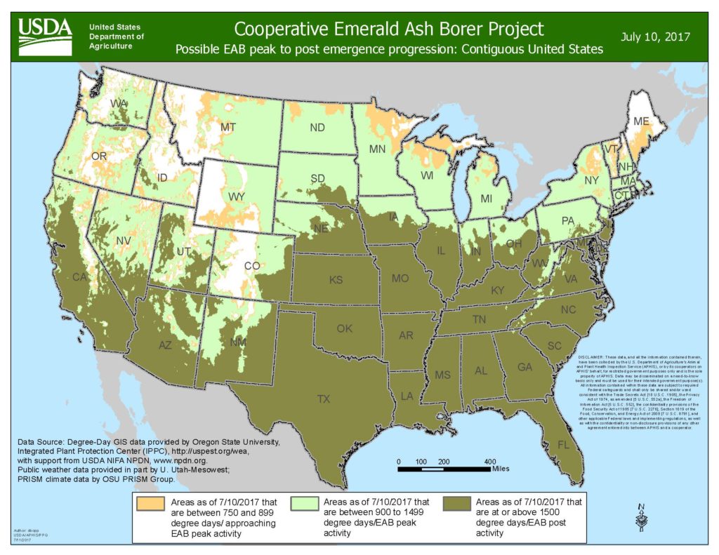 Emerald ash borer new finds in Wisconsin