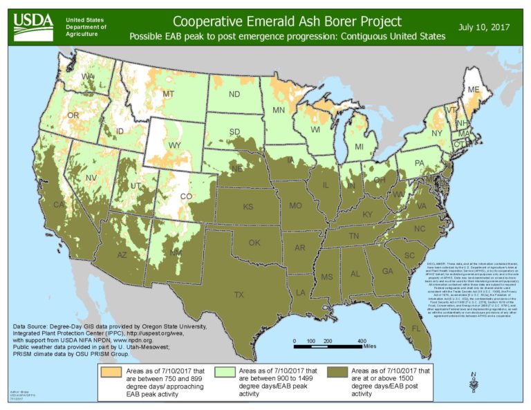Emerald ash borer new finds in Wisconsin