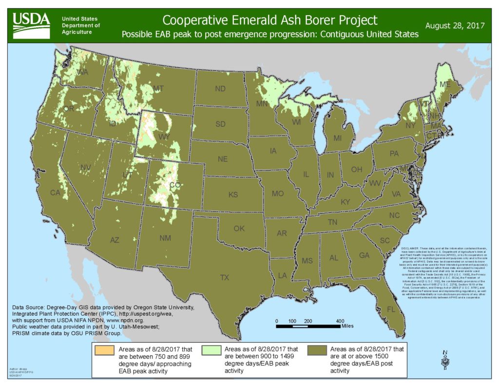 New Emerald Ash Borer Finds In Wisconsin