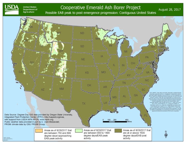 New emerald ash borer finds in Wisconsin