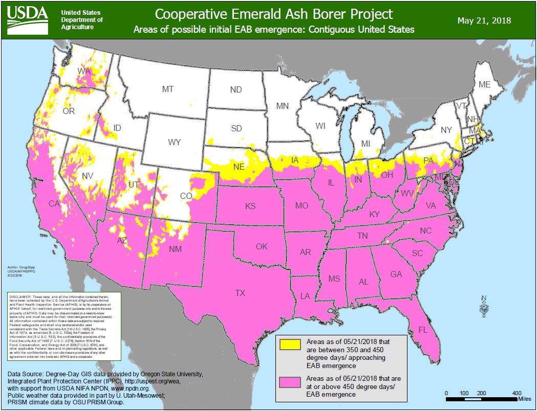 Forestry partners take lead in 2018 EAB trapping