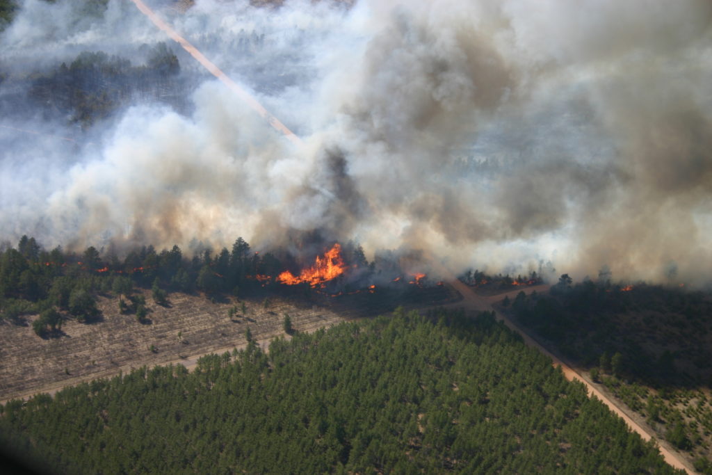 Five-Year Anniversary of the Germann Road fire