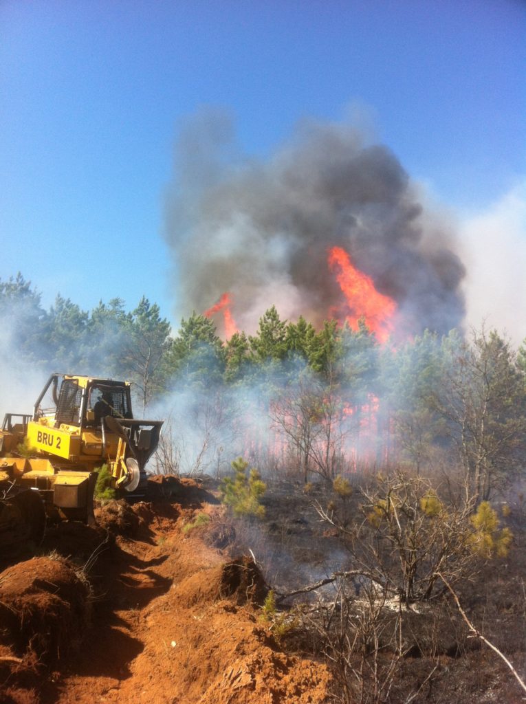 Five-Year Anniversary of the Germann Road fire