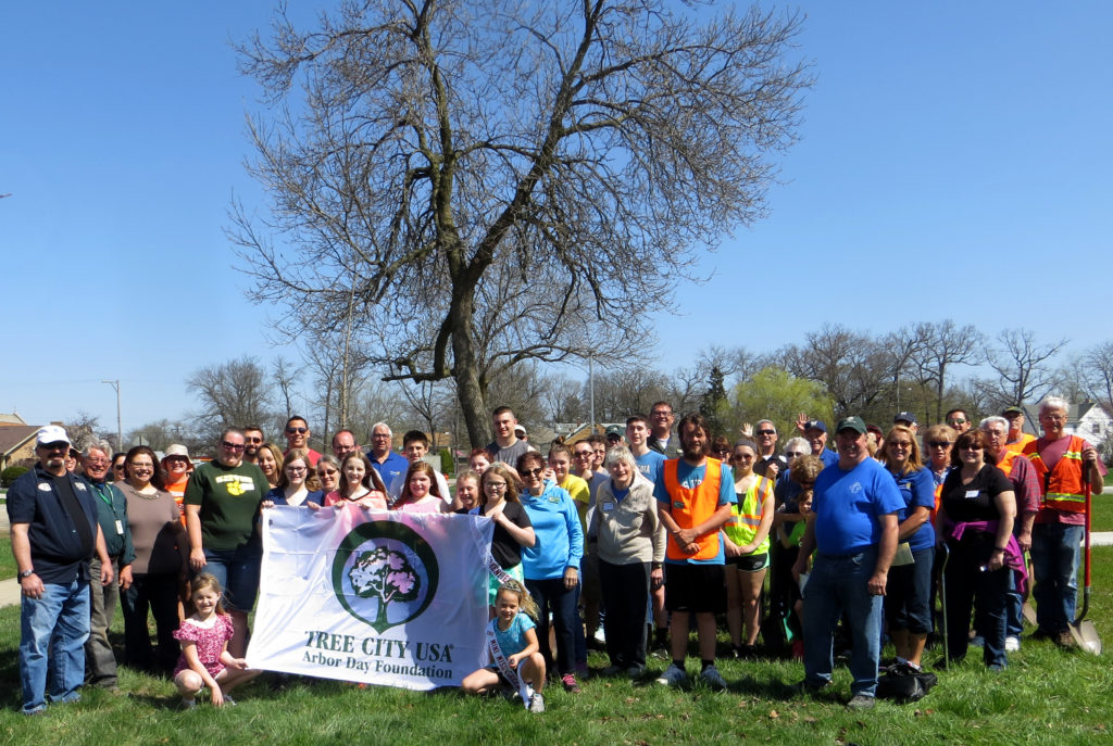 Tree City USA applications are due