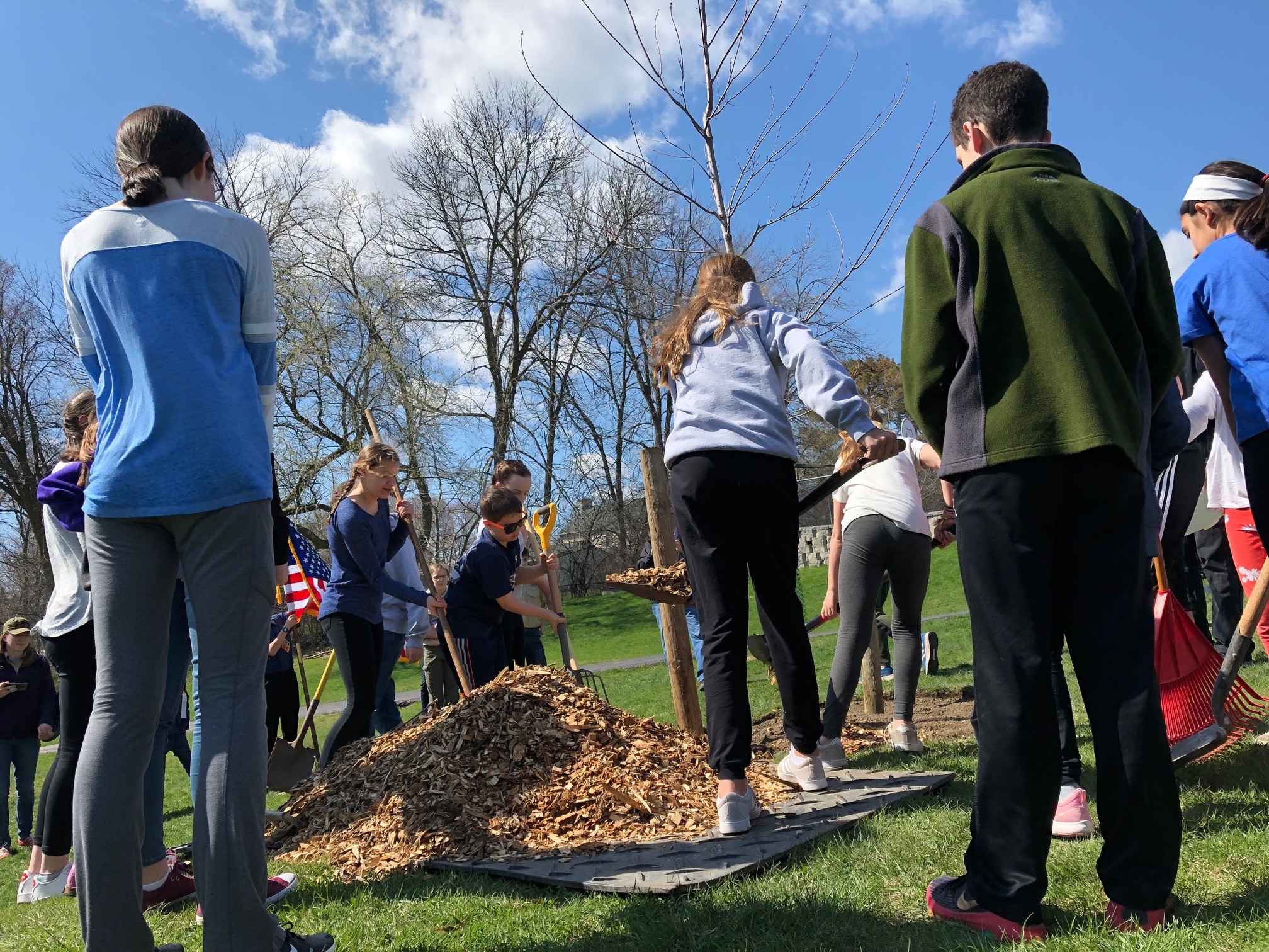 People from across the state celebrate trees