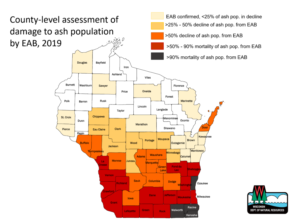 New map illustrates damage from EAB