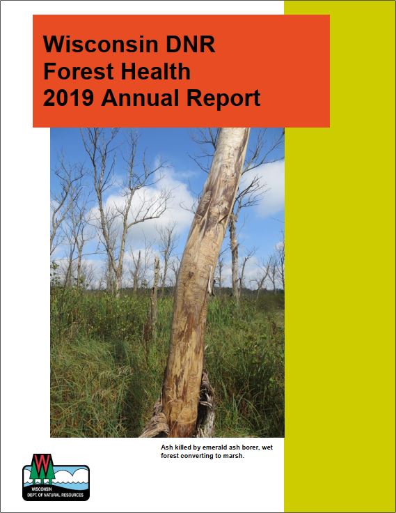 2019 Forest Health Annual Report now available