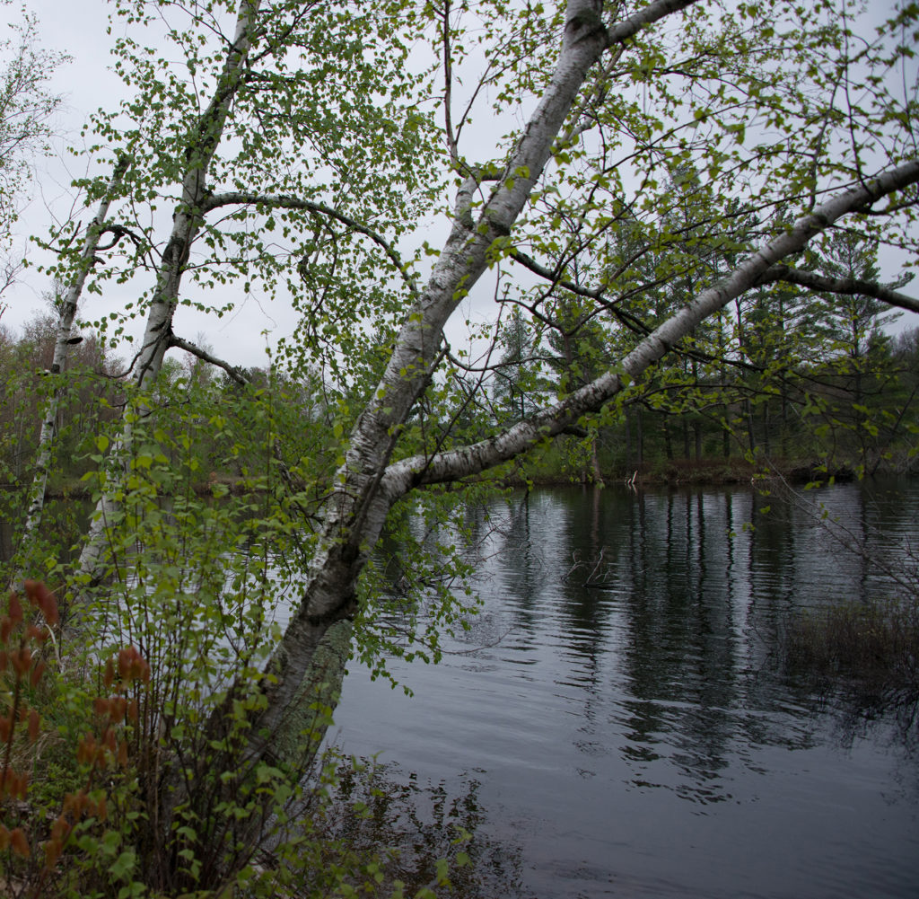 Two natural resources – One goal