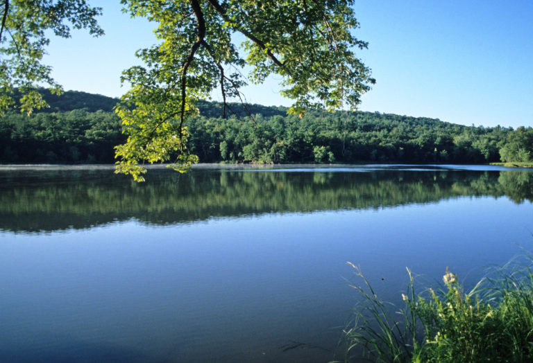 Forests and water go together in rural and urban Wisconsin