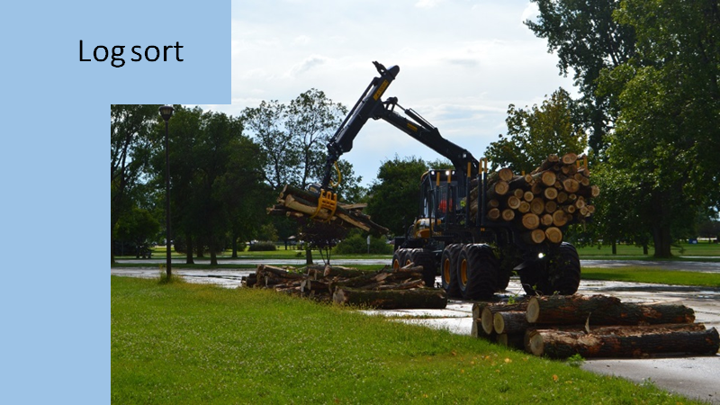 Large-scale urban tree removal using mechanized logging equipment