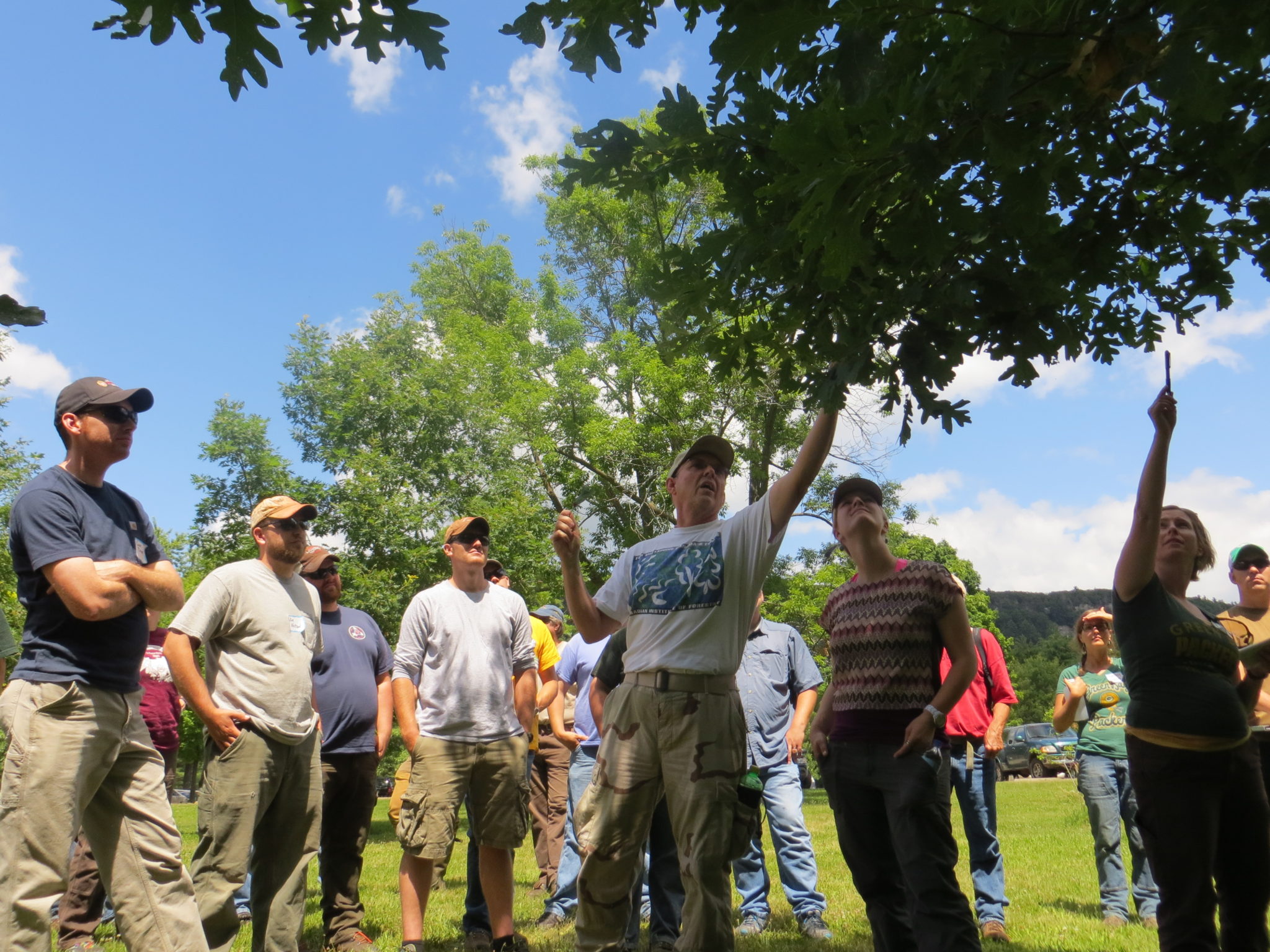 Wisconsin DNR’s Forest Health Program: 71 years of getting the bugs out