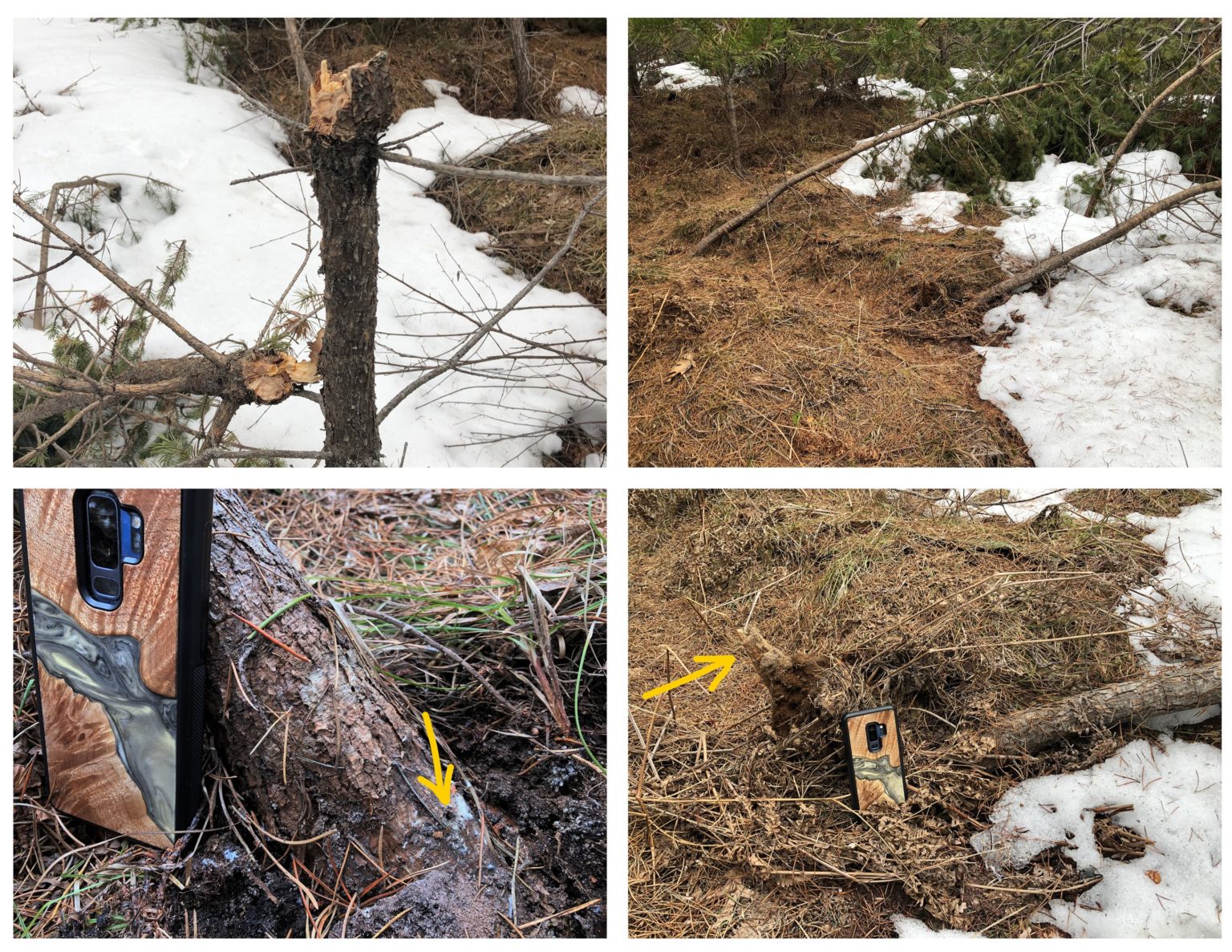 Damage from heavy winter snow and ice