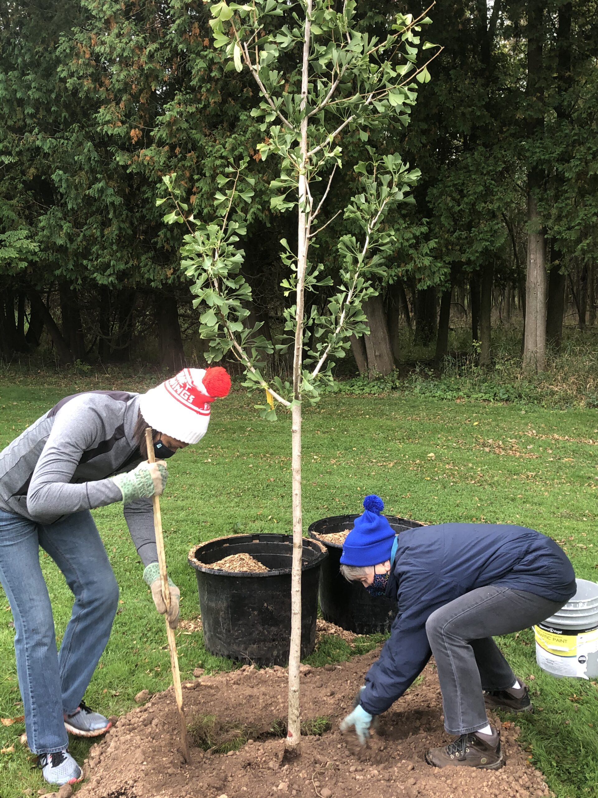 ROOTS Kicks Off Collaborative Tree Planting Projects