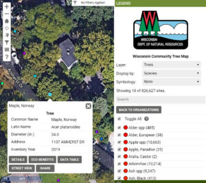 Free Tree Inventory Software Pilot Opportunity