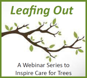 Leafing Out: A Webinar Series To Inspire Care For Trees