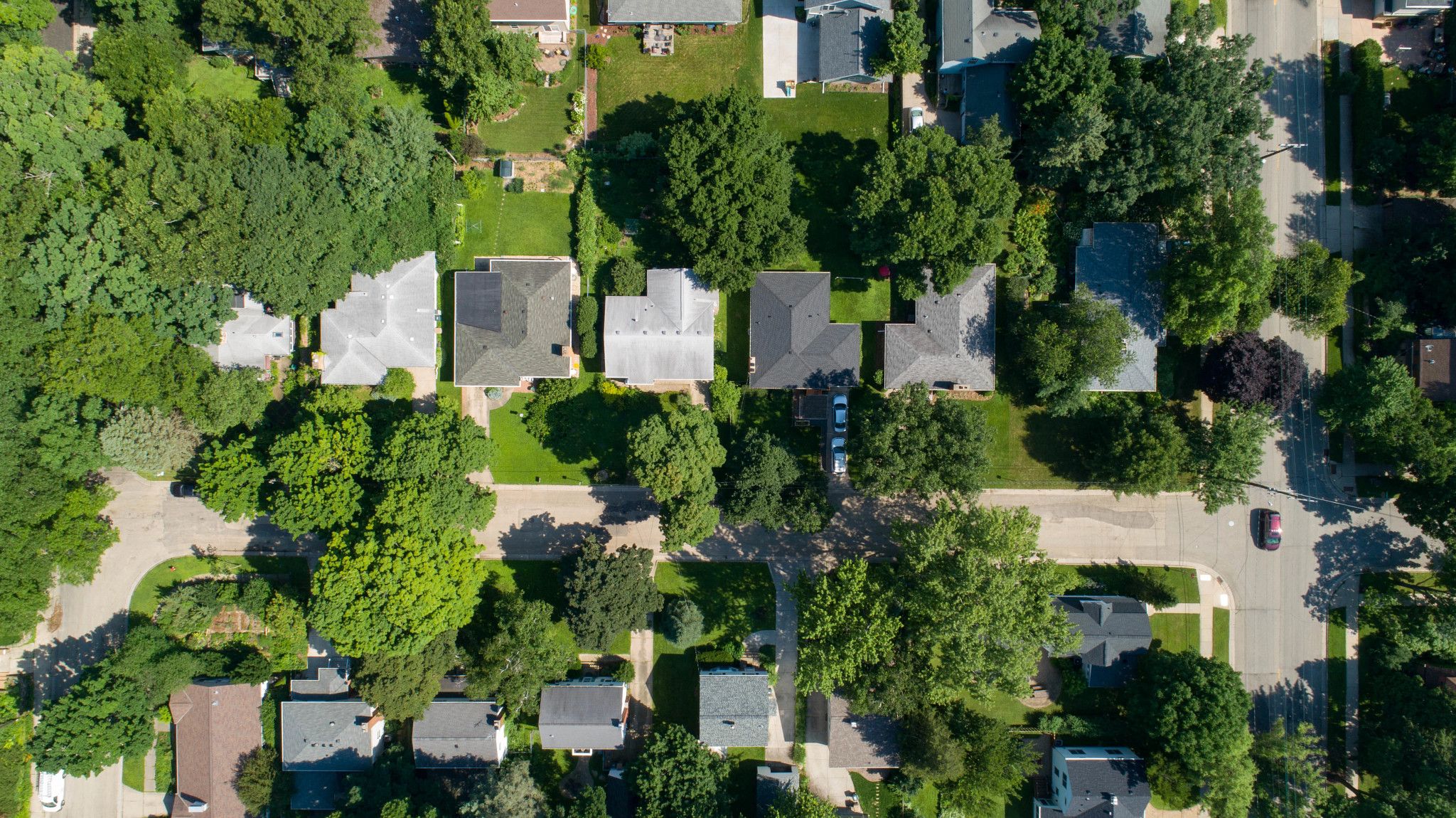 Wisconsin Tree Champions Lauded for Outstanding Community Service