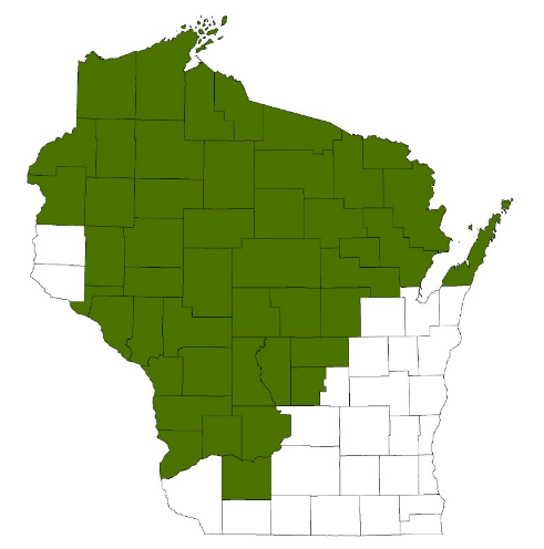 Monitoring The Condition Of Wisconsin’s Forest Regeneration
