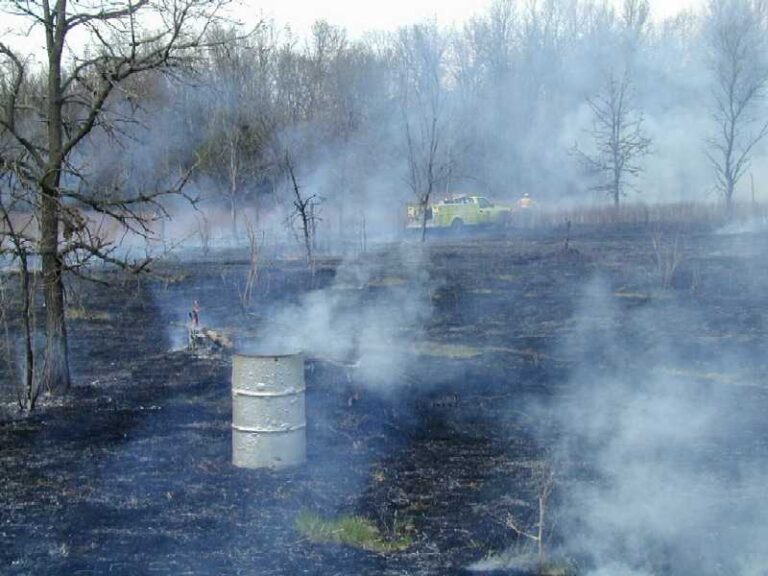 Fire: Keep It Safe – Keep It Clean