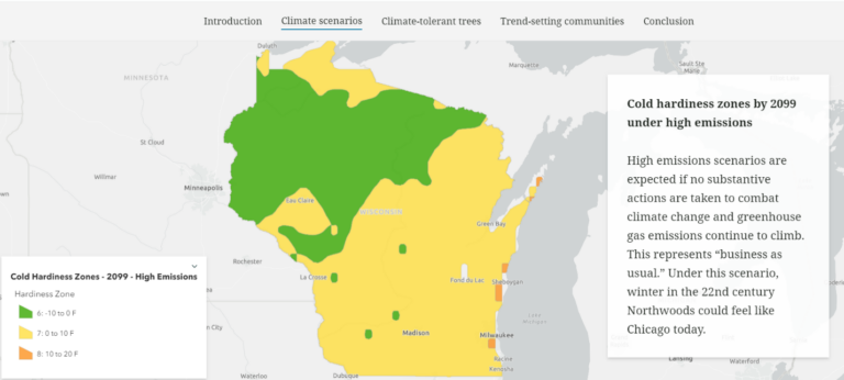 DNR Releases New Climate Change And Urban Trees Story Map