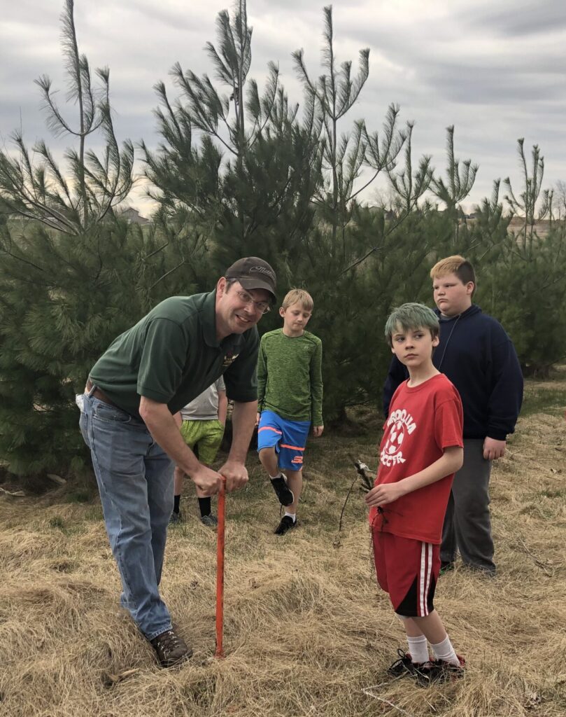 Forest Appreciation Week: Saluting Trees From Seedlings to Seniors