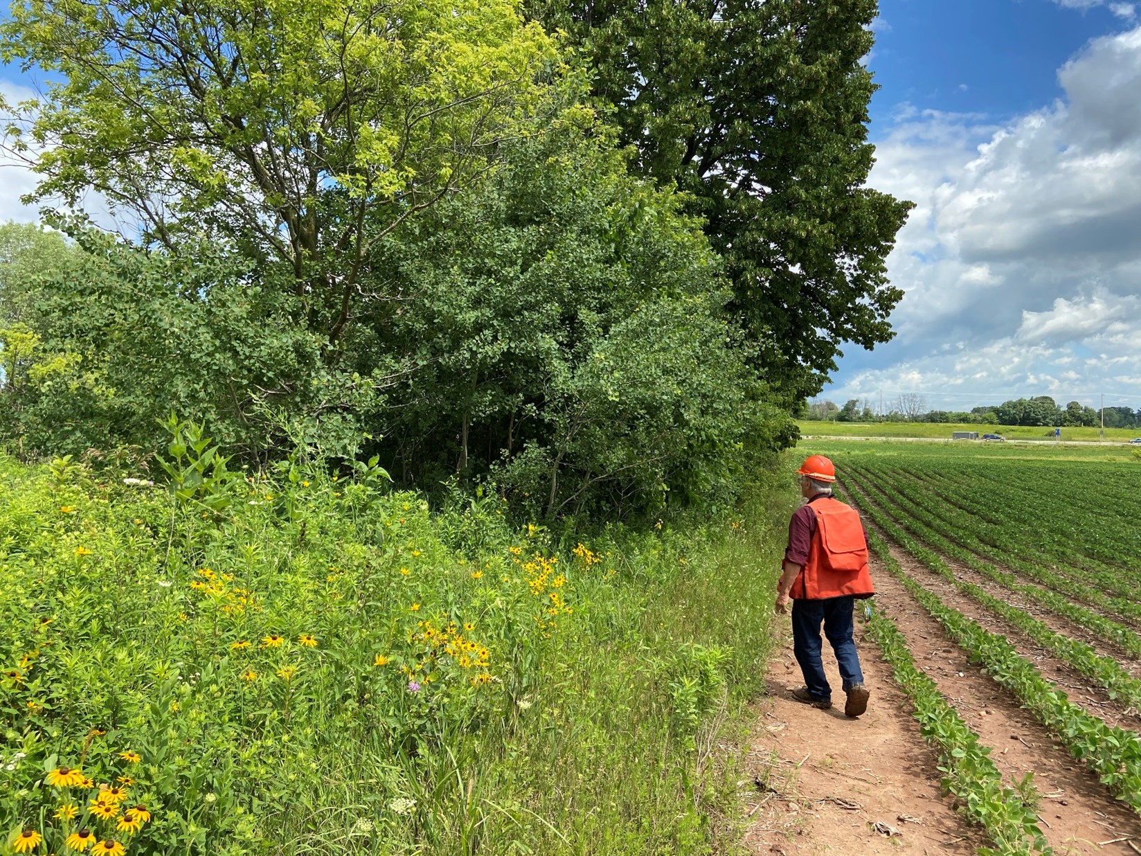 Establishing Long-Term Plots to Understand Urban Forest Trends