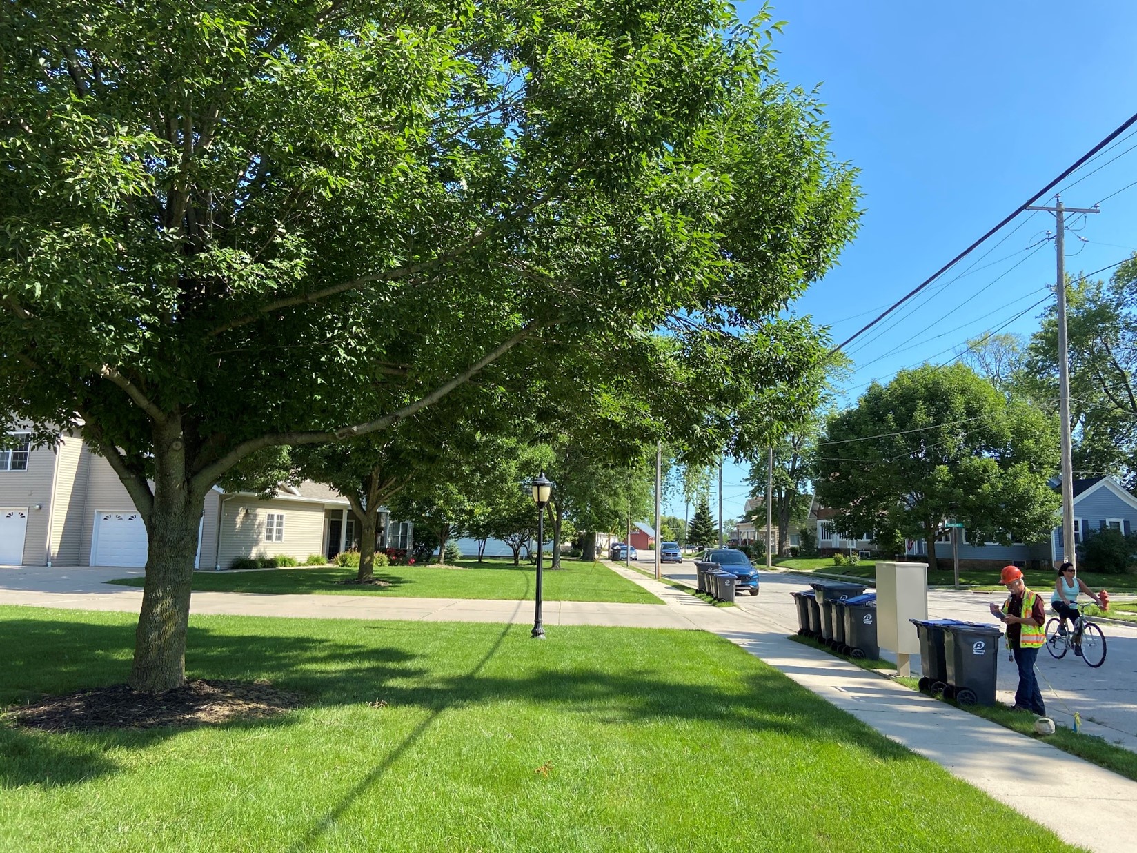 Establishing Long-Term Plots to Understand Urban Forest Trends
