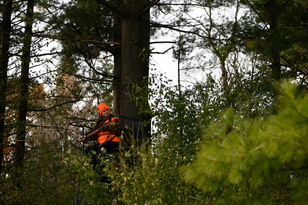 Avoid Ash Trees When Placing Deer Stands