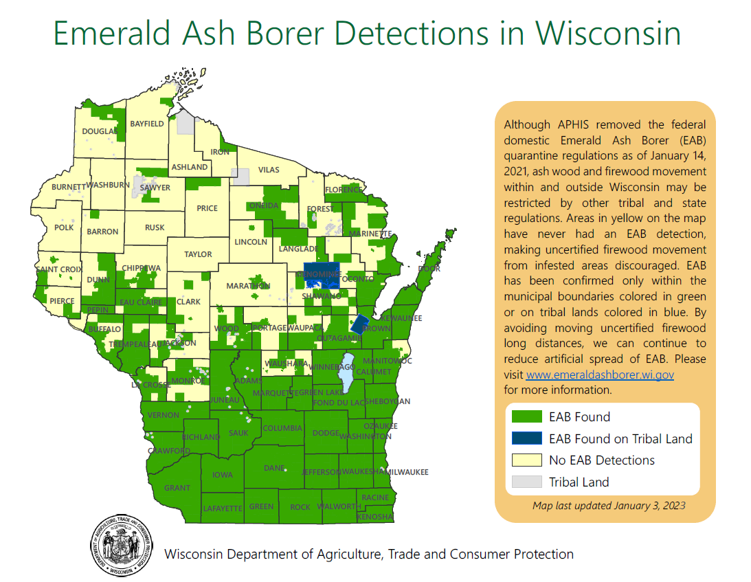 Treat Your Valuable Ash Trees Against Emerald Ash Borer This Spring