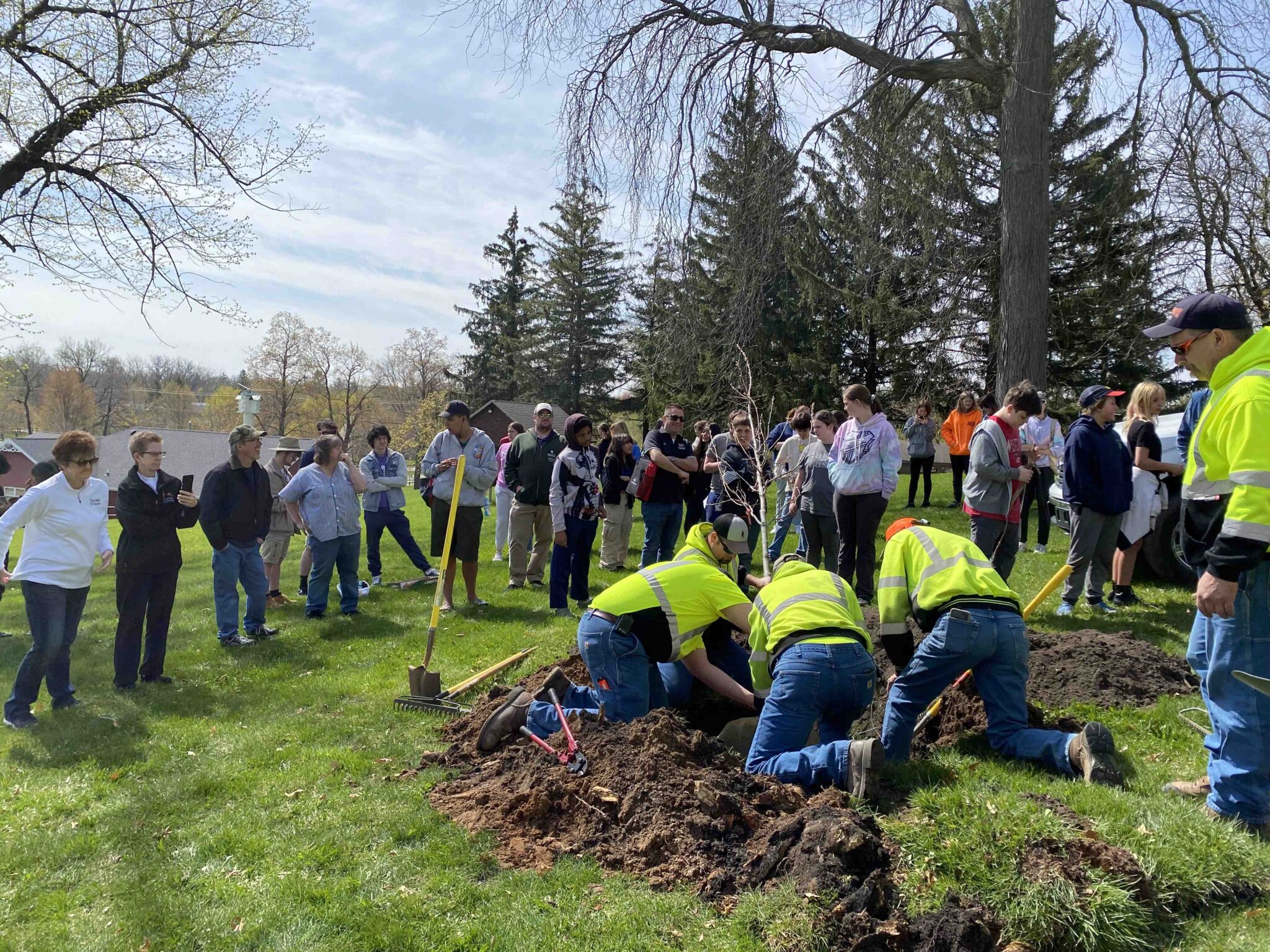 Photo Collage Of Arbor Day Celebrations
