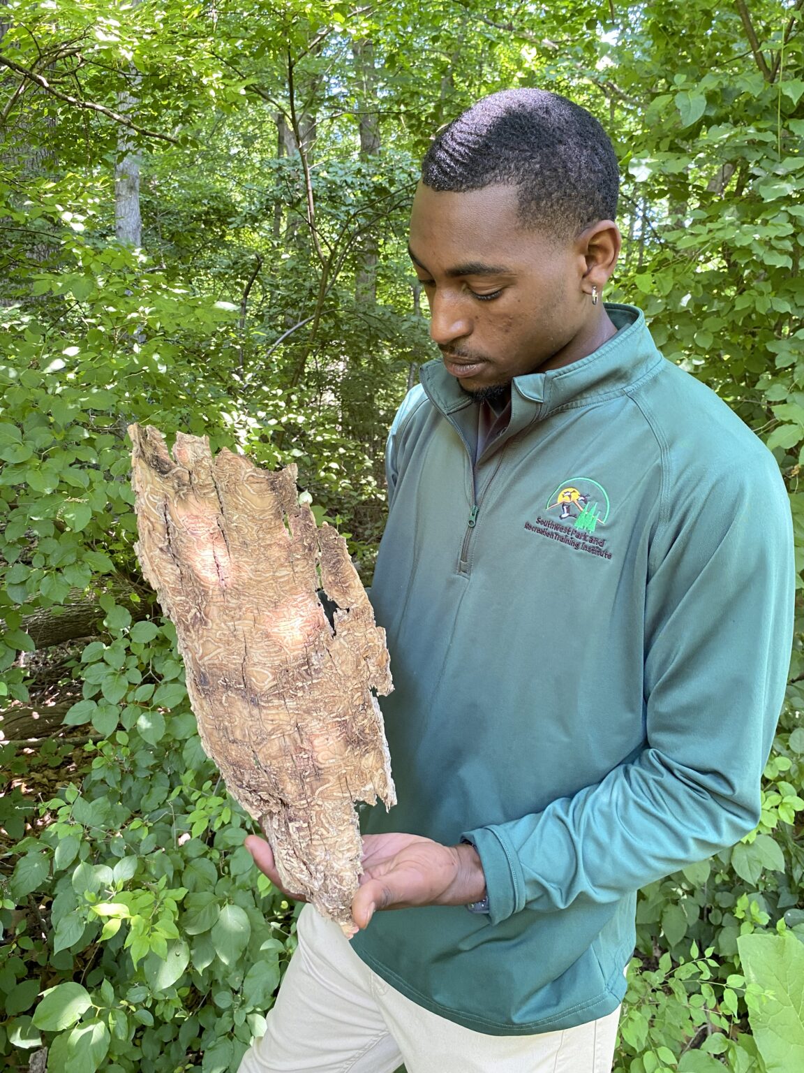 DNR Urban Forestry Welcomes New Interns