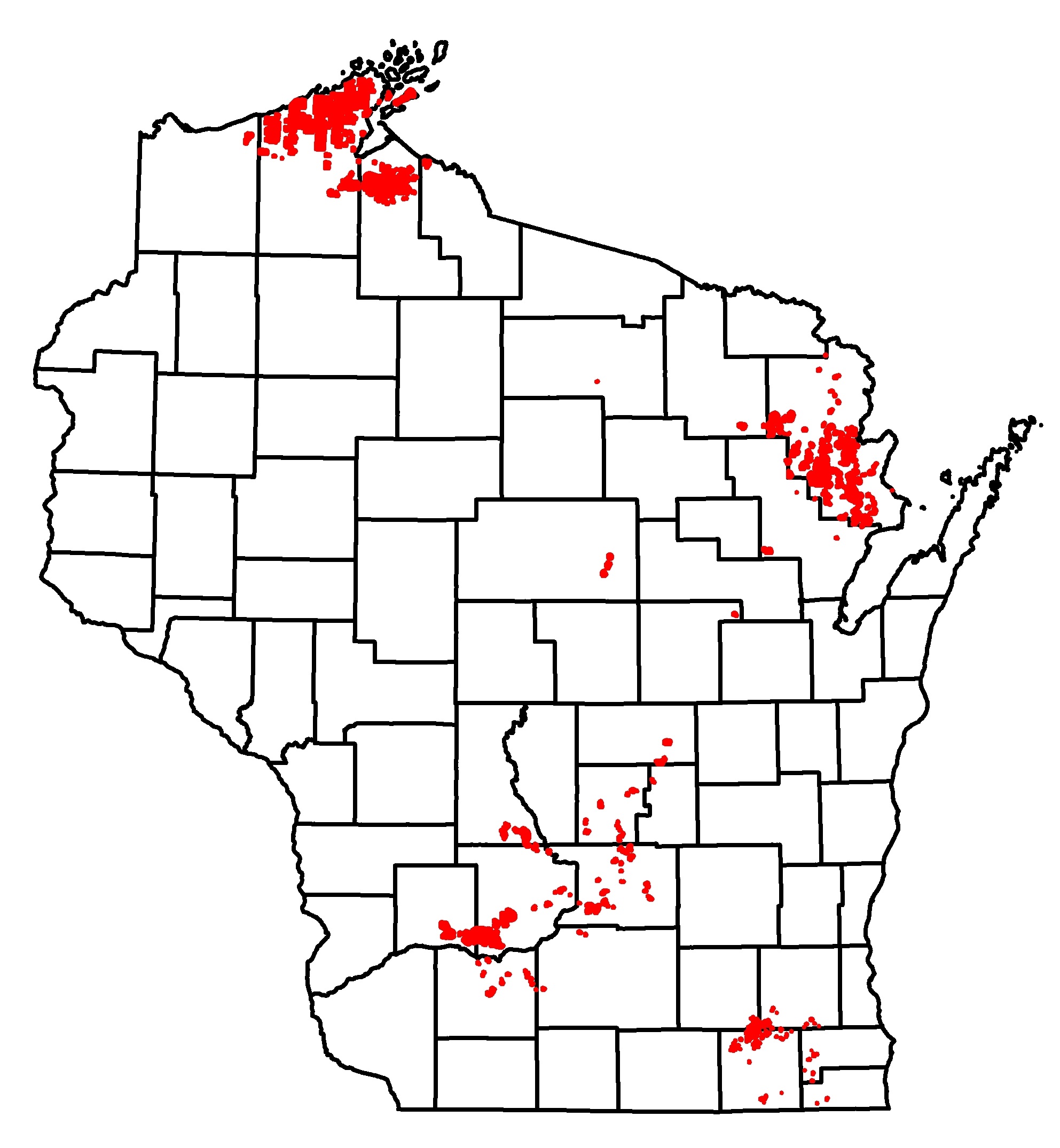 Spongy Moth Update: State Defoliation Record Set