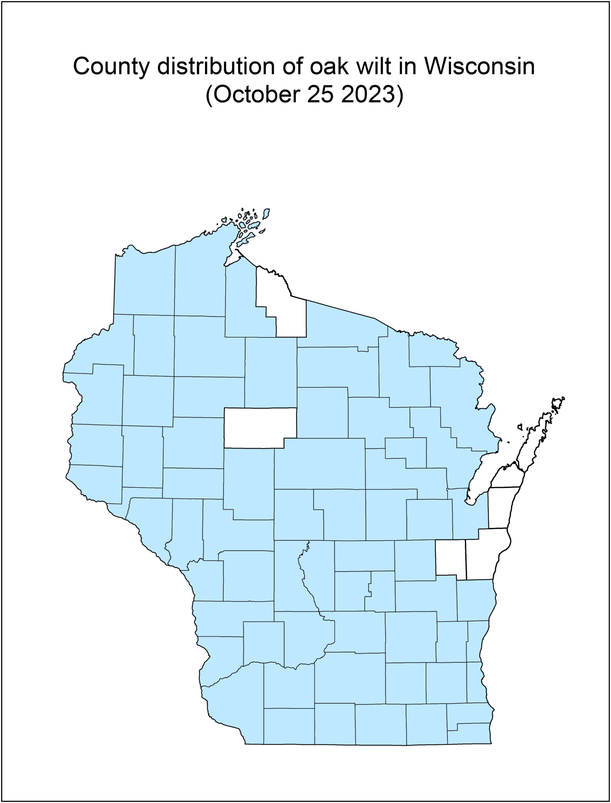 Oak Wilt Confirmed In Ashland County