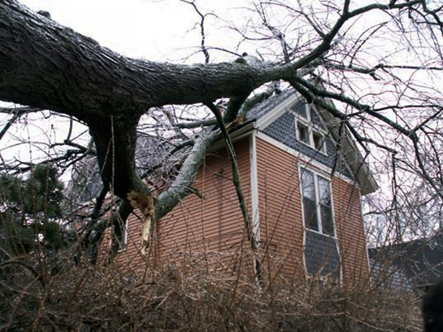 Article Sets Record Straight On Value Of EAB Management