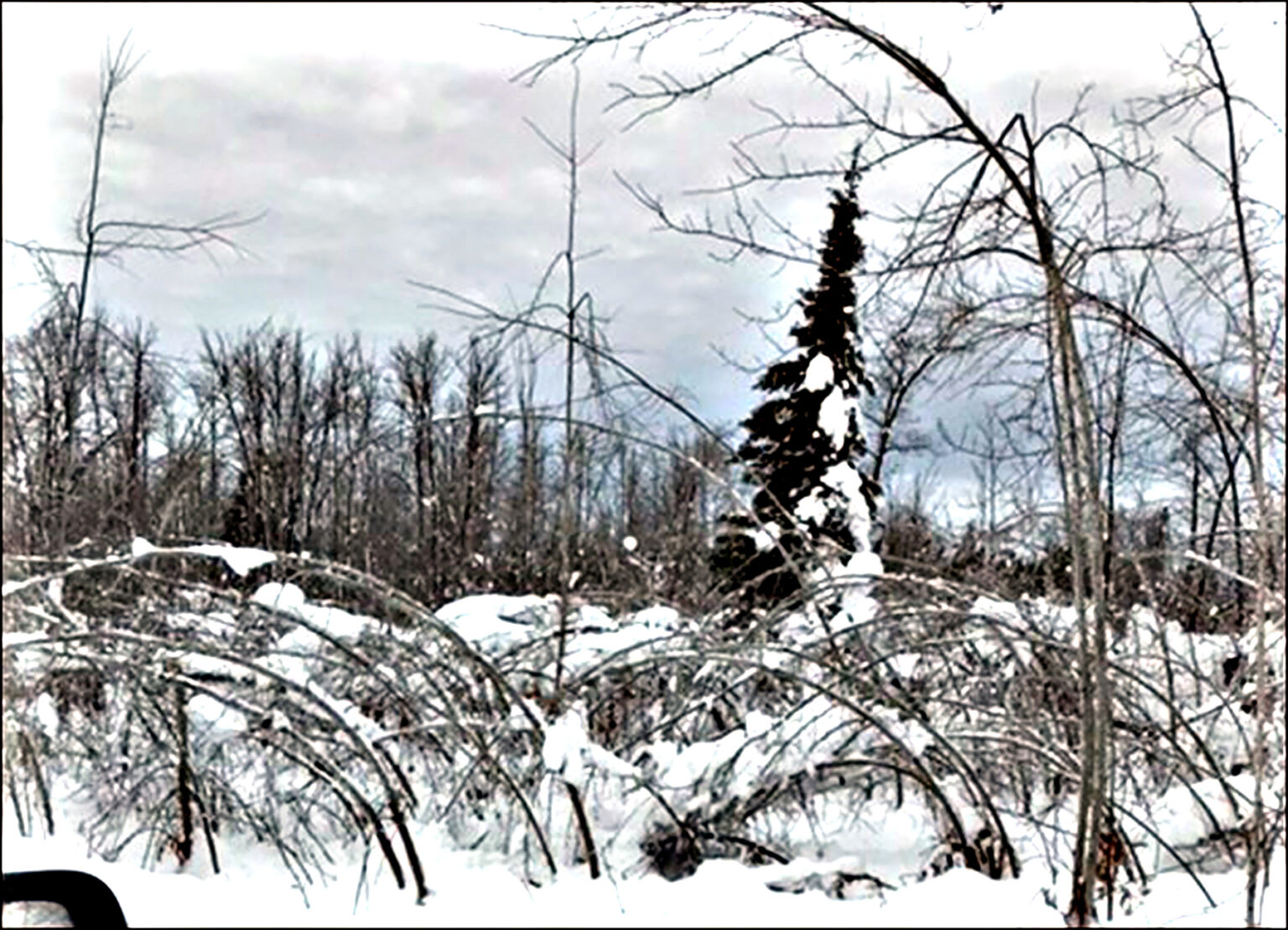 A Look Back To The Blue Blizzard Of 2022