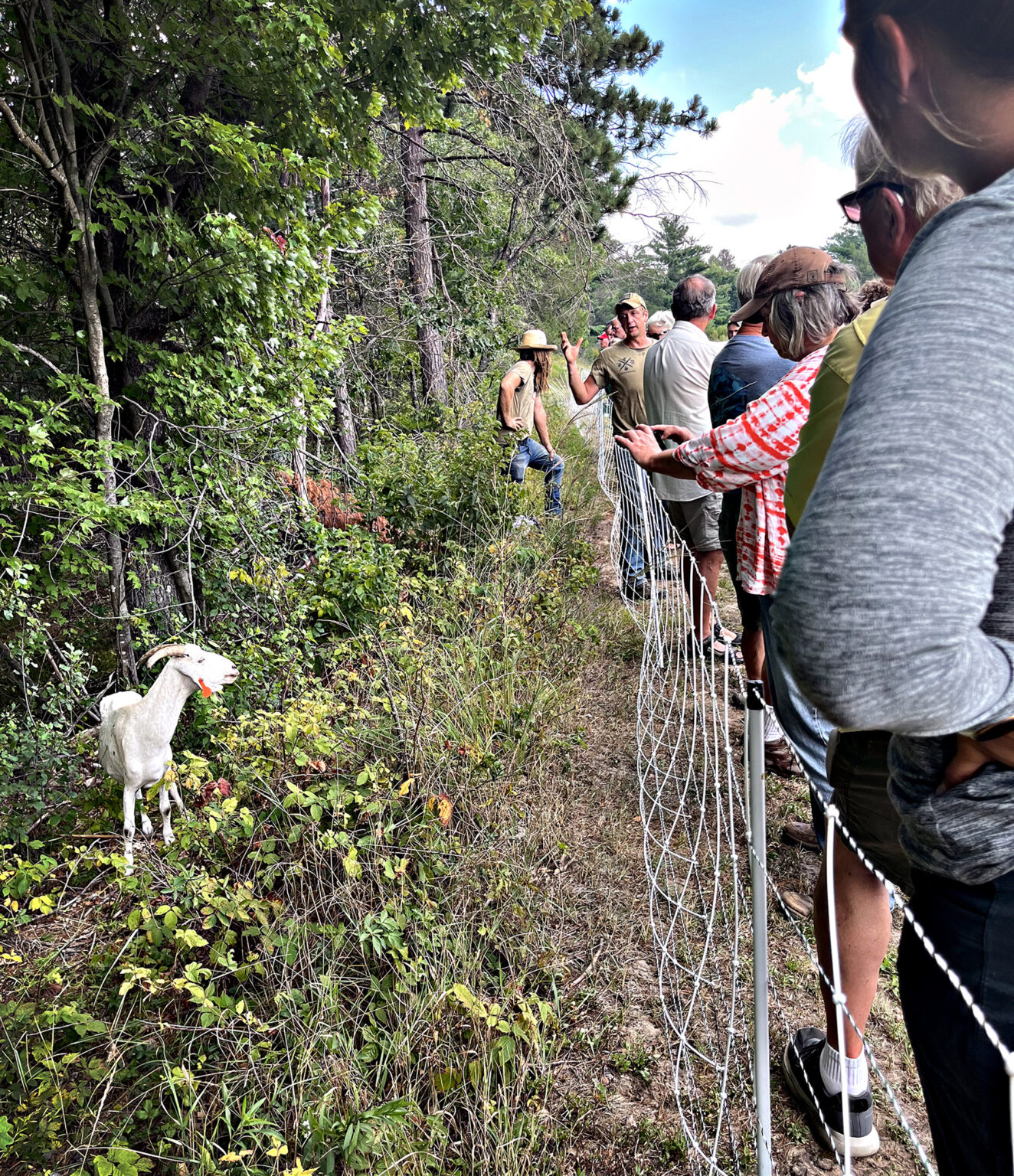 Fight Invasives As Part Of A CISMA