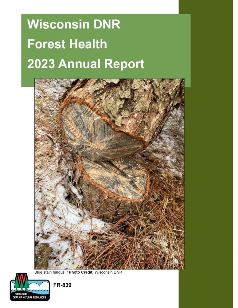 Read All About It: Forest Health Annual Report Published