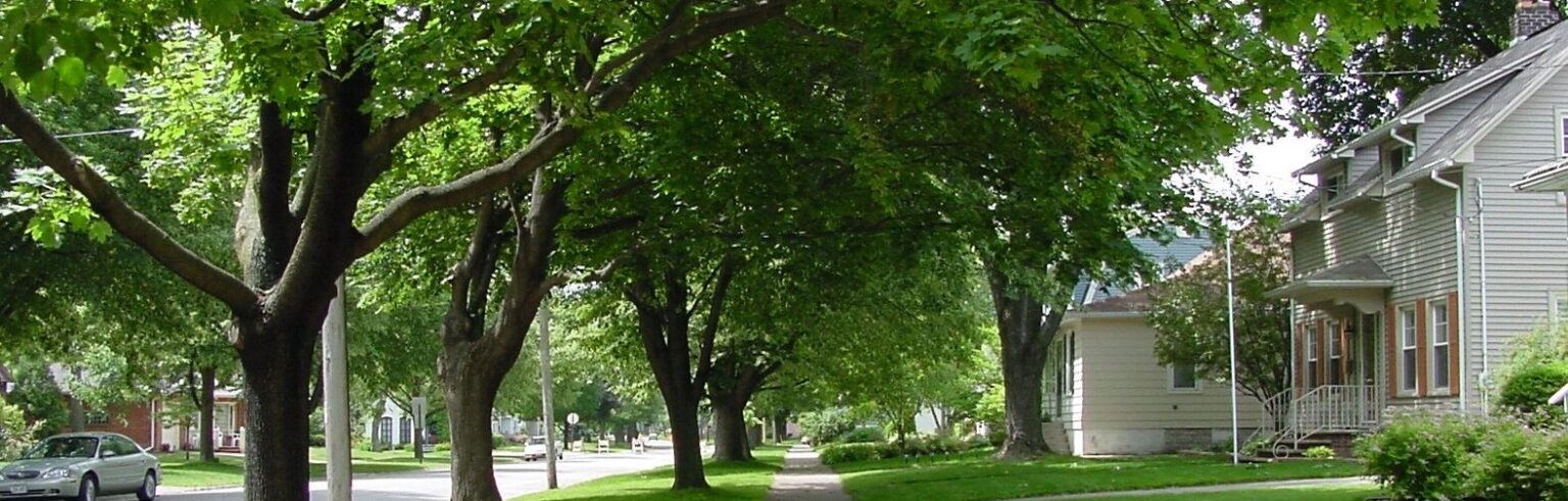 Wisconsin DNR Forestry News – External news articles from the Wisconsin ...