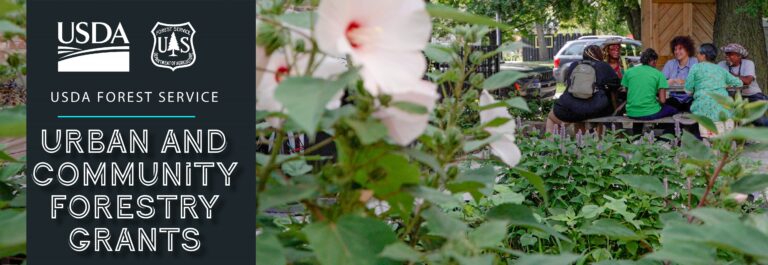 DNR Seeking Applications For Urban Forestry Inflation Reduction Act ...