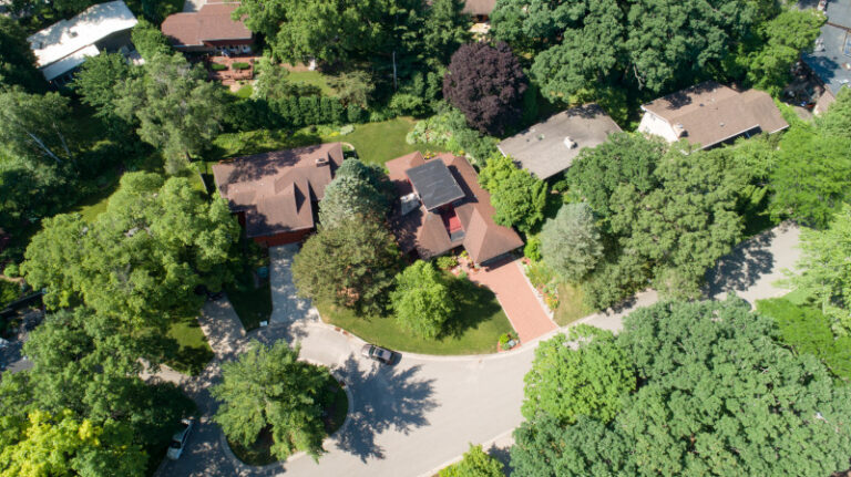 Urban Forestry Today’s Summer Tree Summit