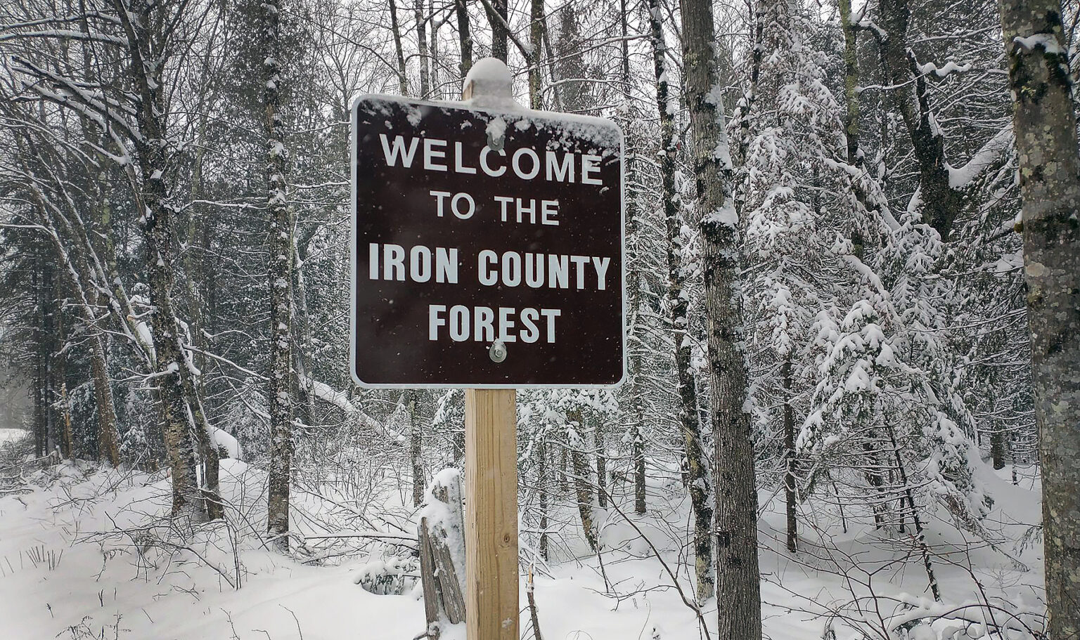 Wisconsin Expands Trillion Trees Pledge