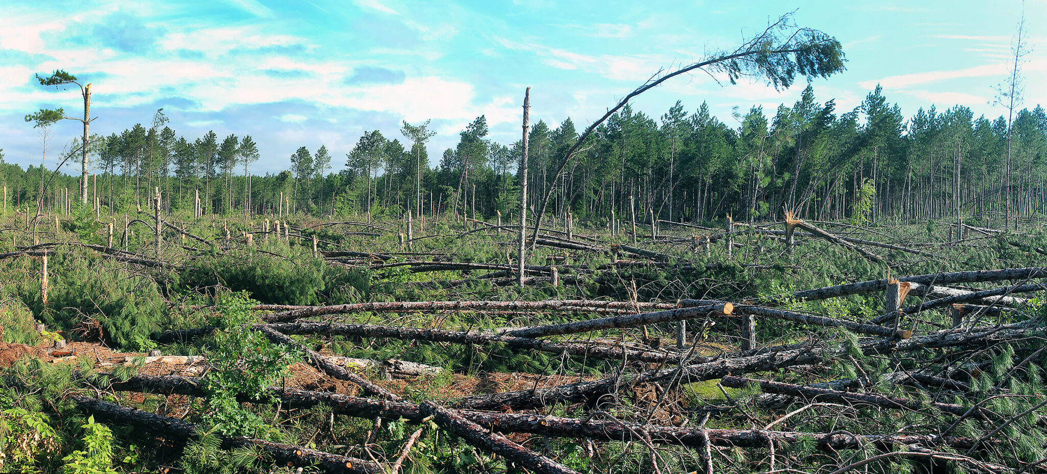 Five Years Later, Effects Of Derecho Remain