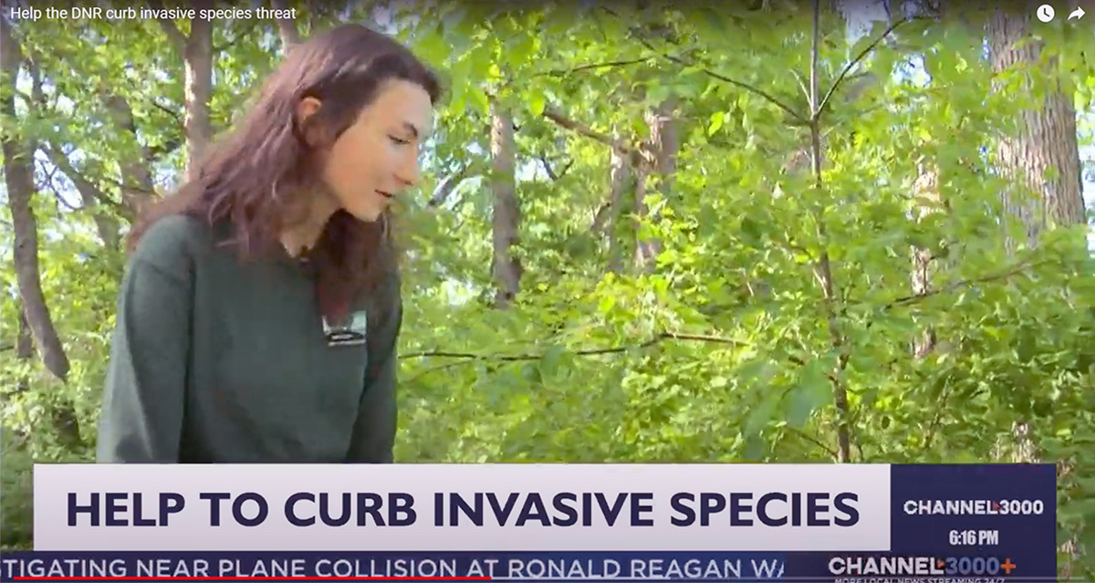Invasives Get The Spotlight On Madison TV