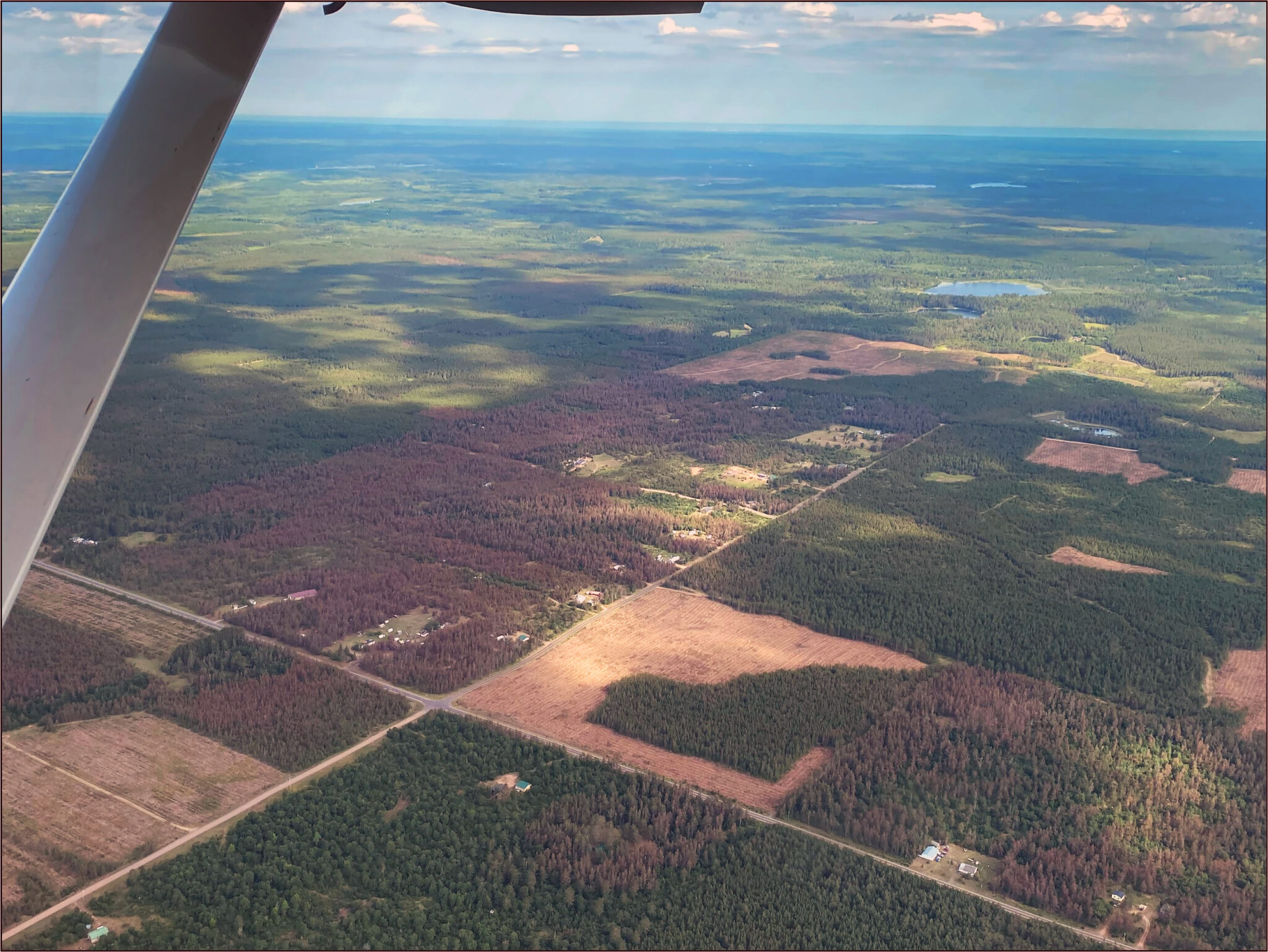 Jack Pine Budworm Outbreak Subsides