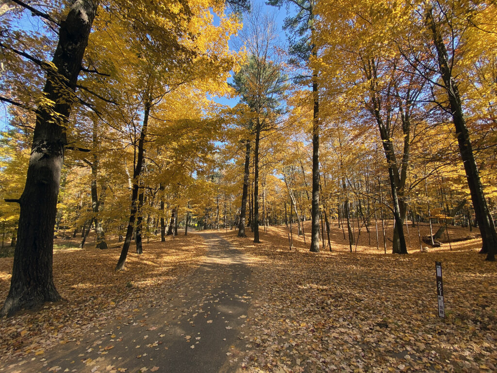 Take In Wisconsin’s Beautiful Bounty Of Fall Colors