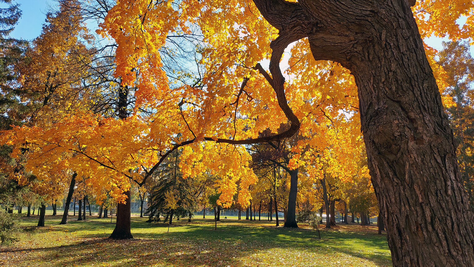 Take In Wisconsin’s Beautiful Bounty Of Fall Colors