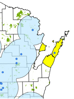 Heterobasidion Root Disease Found In Door County